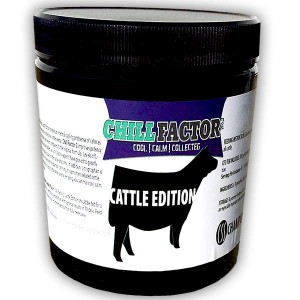 Chill Factor 2 – Cattle